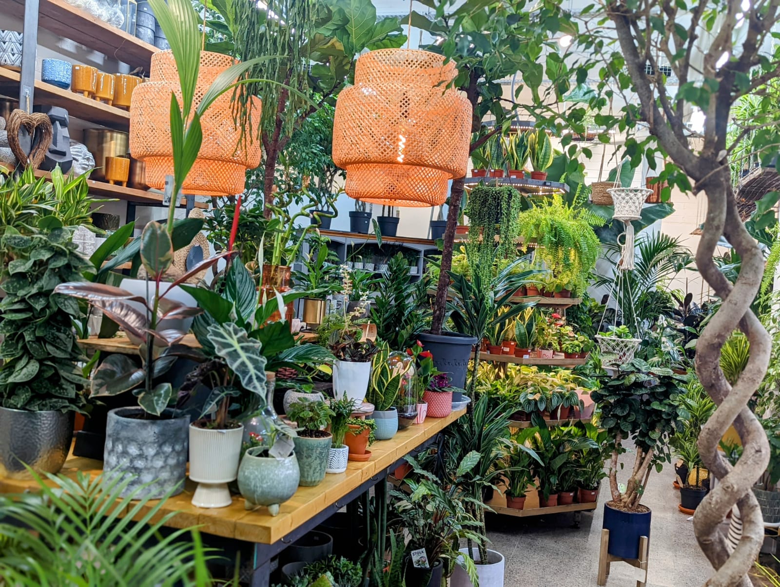 Plant World London - Plant World London